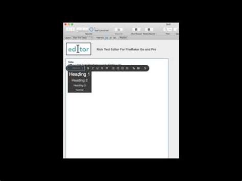 Rich Text Editor For FileMaker Pro Brilliant Scoops