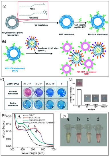 Recent Advances In Conjugated Polymer Based Biosensors For Virus Detection