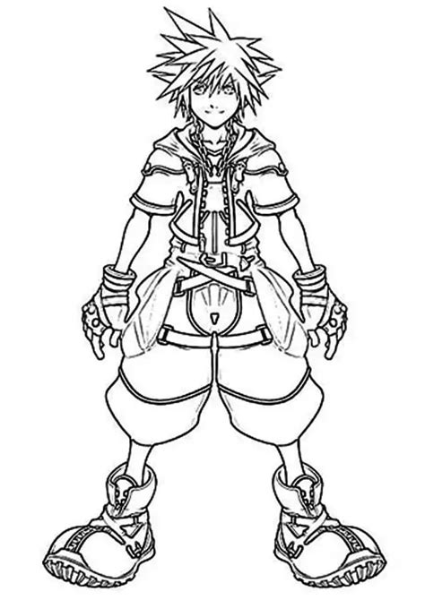 Picture Of Sora