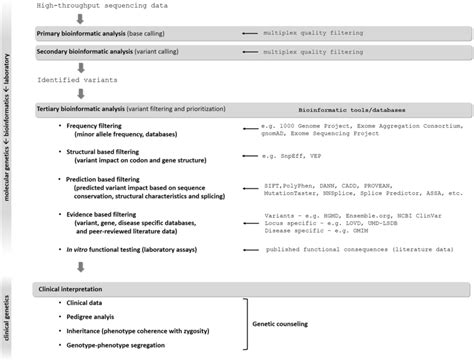 Process Of Molecular Genetic Testing By Ngs From Ngs Data Analysis To
