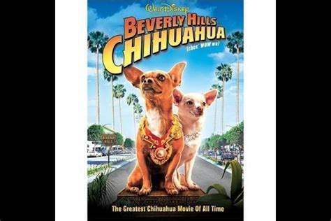 Beverly Hills Chihuahua Quotes Quotesgram