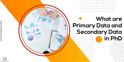 What Are Primary Data And Secondary Data In PhD