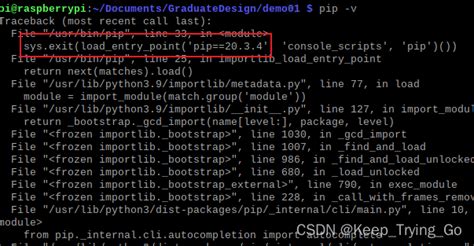 树莓派上报错OSError Errno 74 Bad message home pi local lib python3 9