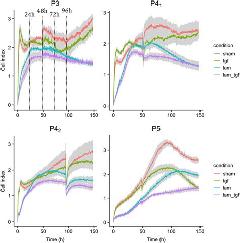 Cell Impedance Recordings Hcfs Were Cultured With The Four Conditions