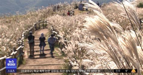 짙어지는 은빛 절경 민둥산 억새
