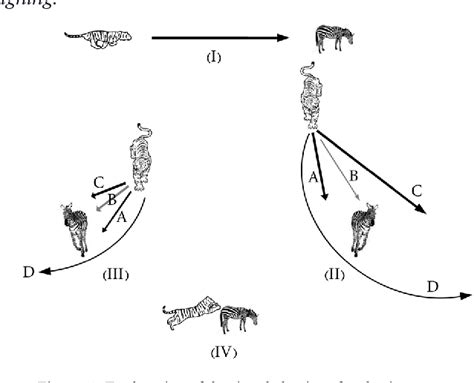 Figure 1 From Tiger Algorithm Semantic Scholar