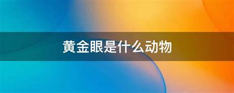 黄金眼是什么动物 业百科