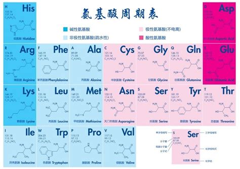 深圳市因诺赛生物科技有限公司