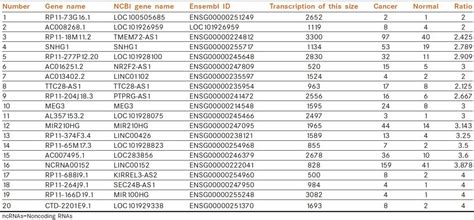 Noncoding Rna Small Nucleolar Rna Host Gene 1 Promote Cell P