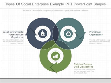 Types Of Social Enterprise Example Ppt Powerpoint Shapes