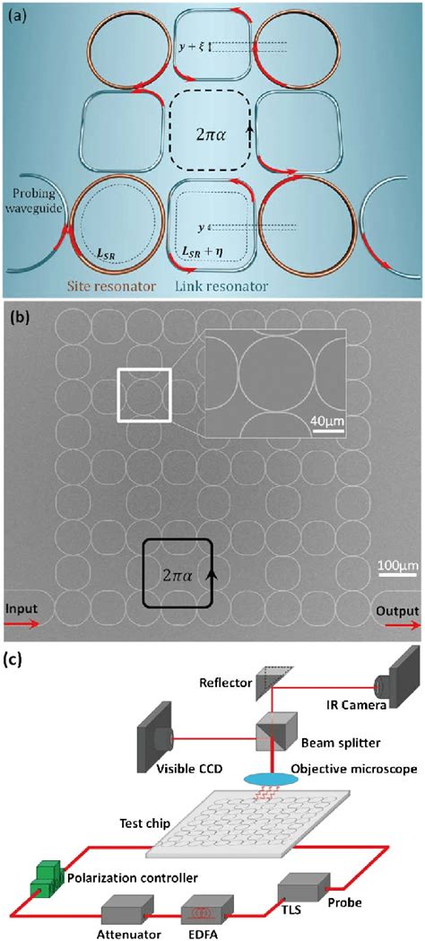 Experimental Configuration A Schematic Of A 2 × 2 Microring Array