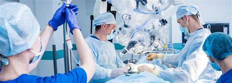 Bone Grafts In Spine Surgery New Mexico Orthopaedic Associates