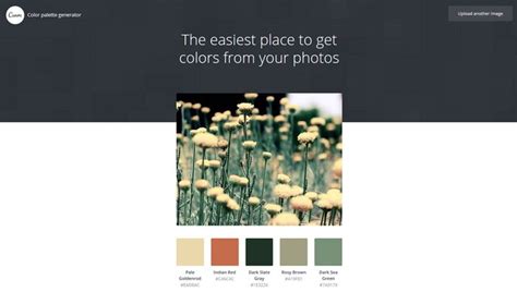 20 Best Color Palette Generators And Galleries For Designers 2019