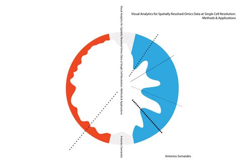 Visual Analytics For Spatially Resolved Omics Data At Single Cell