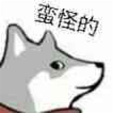 秦国识积 随缘更新的屑博客
