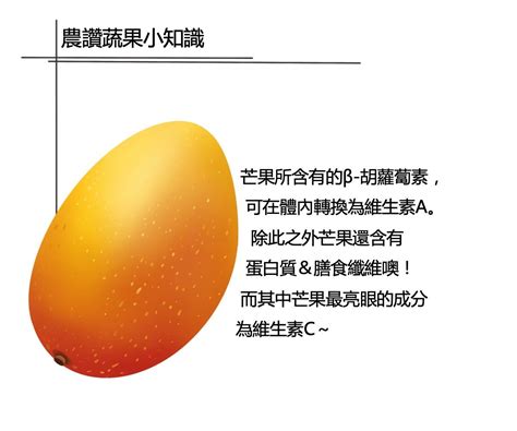 農讚蔬果小知識 芒果 農讚有限公司