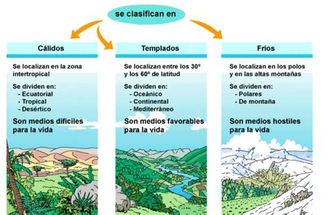 Pin En Ecologia