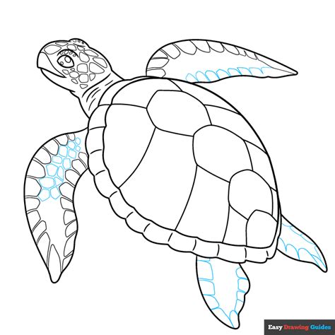 How To Draw A Realistic Sea Turtle Really Easy Drawing Tutorial