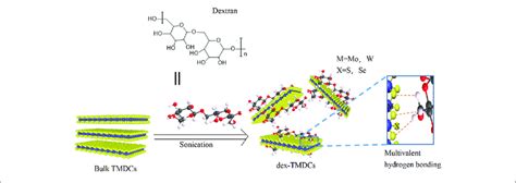 Schematic Illustration Of The Exfoliation And Functionalization Of