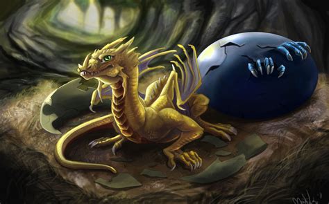 DraGon Dragons Photo 34261254 Fanpop