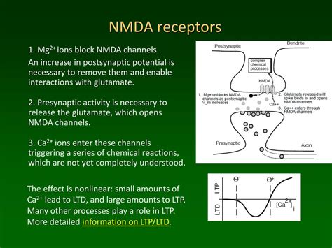Advanced Topic In Cognitive Neuroscience And Embodied Intelligence Ppt Download