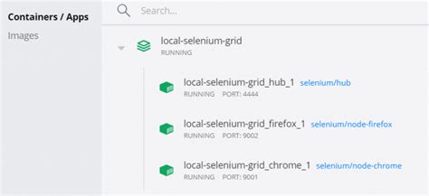 How To Run Selenium Tests In Docker