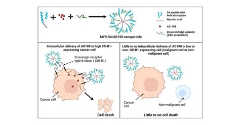 A Spontaneous Assembling Lipopeptide Nanoconjugate Transporting The… Sangram Raut Phd