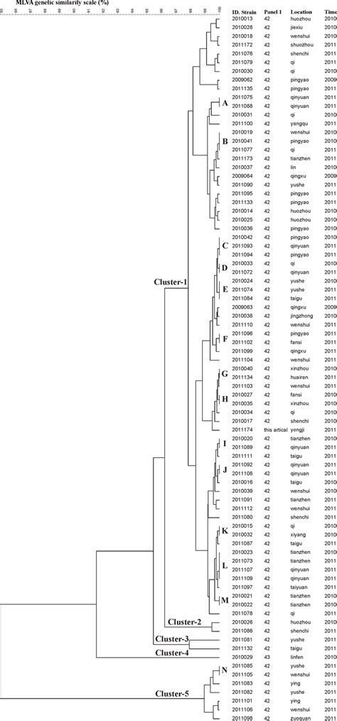 Dendrogram Based On The Mlva 16 Genotyping Assay Upgma Method