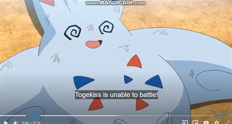 Fainted Pokemon