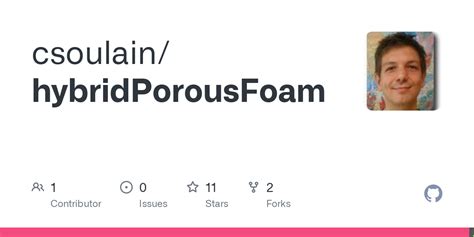Hybridporousfoam Hybridporousfoam Tutorials Free Flow Cases Capillary