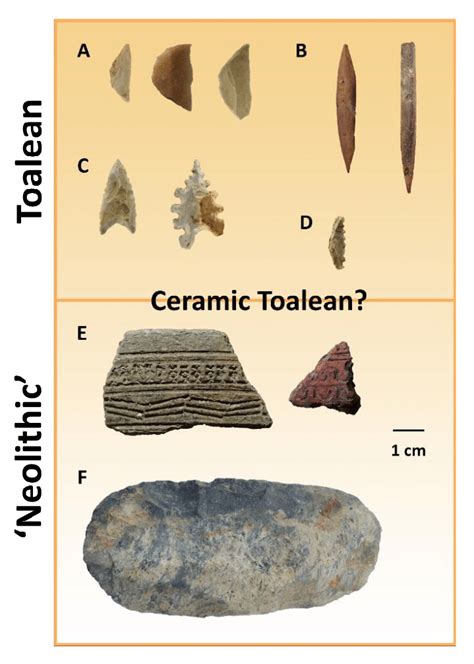 Neolithic Stone Artifacts