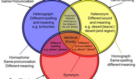 Ownership Synonym