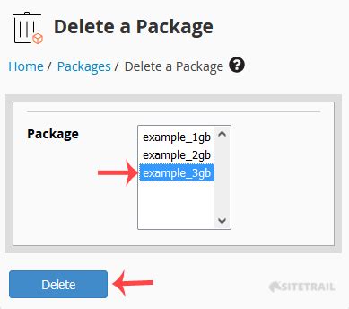 How To Delete A Package In WHM Sitetrail LLC