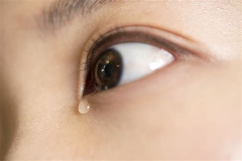 Qué Es La Epífora Ocular Causas Síntomas Y Tratamiento 54 OFF
