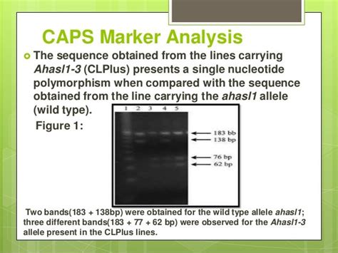 Marker Assisted Selection 2
