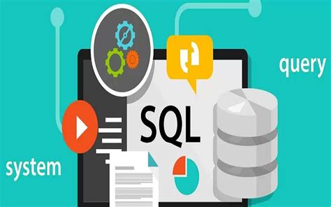 Lộ Trình Học Data Analyst Chuyên Nghiệp Dành Cho Người Mới Bắt đầu