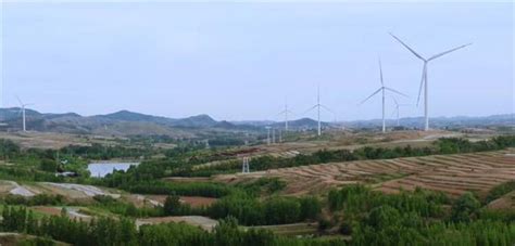 安丘市柘山镇：旅游特色农产品种植 助力乡村振兴医药医改频道东方养生