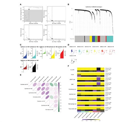 Hdwgcna Has Identified The Key Epithelial Cell Genes In The Download Scientific Diagram