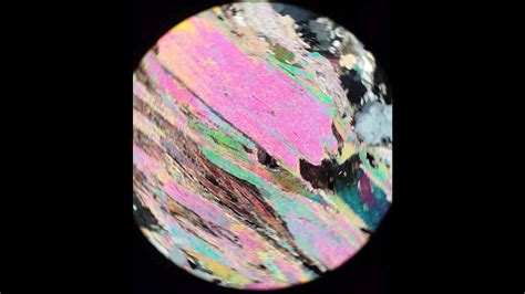 Your Guide To Identifying Biotite Under The Microscope Easily Answerzone Blog