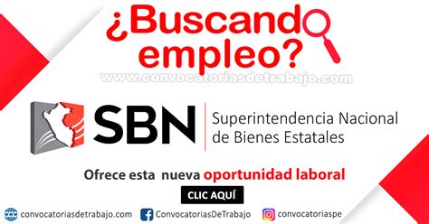 Superintendencia Bienes Estatalessbn Convocatoria Cap N° 001