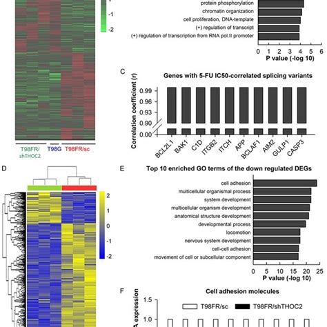 Analysis Of Differentially Expressed Genes And Splicing Variants In Download Scientific Diagram