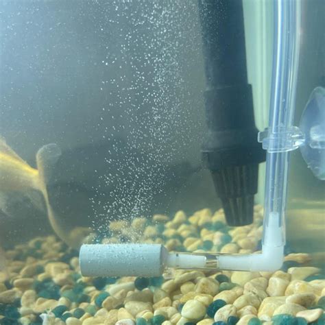 24h出貨🌟【hook水族】 簡易型co2霧化器 二氧化碳 細化器 Co2細化器 Co2 水草 水草缸 止逆閥 魚缸 Hook水族