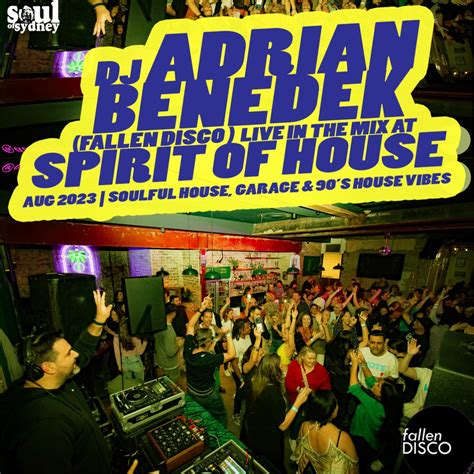 Live Mix Fallen Disco Dj Adrian Benedek Live At Spirit Of House