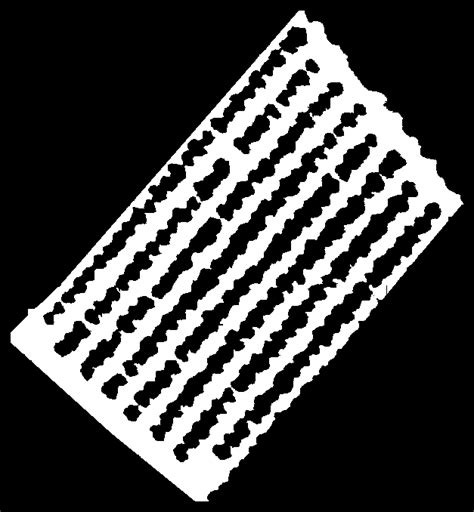 Generating Speed Images A The Original Path Binary Map And B The