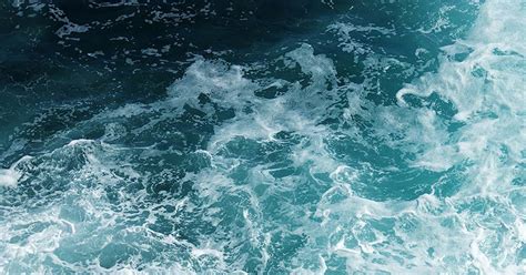 Ocean Twilight Zone May Negatively Impact Marine Phytoplankton