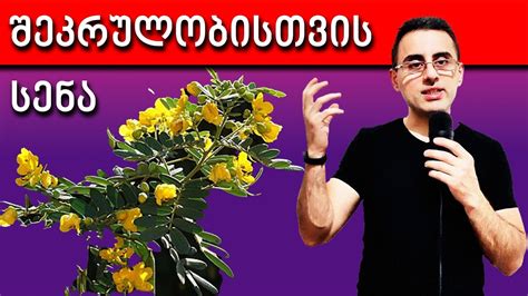 მცენარეული ჩაი შეკრულობისთვის სენა Youtube