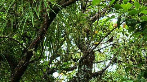 Blog 3 — Life Centered Design School