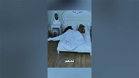 لن تصدق ما فعله هذا الكلب ️ Youtube