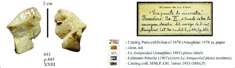 Lithic Artefact Flaking Debris From Site Number 6 Arroyo Frías Download Scientific Diagram