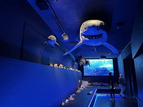 Ons bezoek aan Naturalis in Leiden • Mommyhood